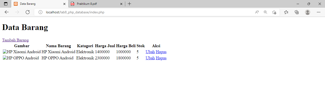 GitHub - IrgaRamadhanPutra/lab8web