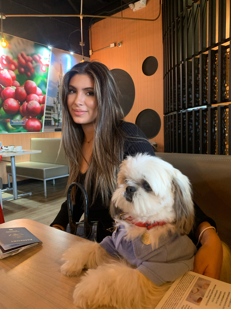 GitHub - valeriecalle/READMEGenerator