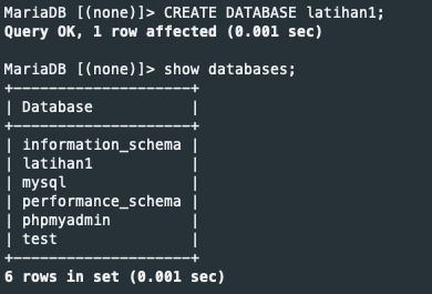 GitHub - monicafabiolapasaribu/lab8web