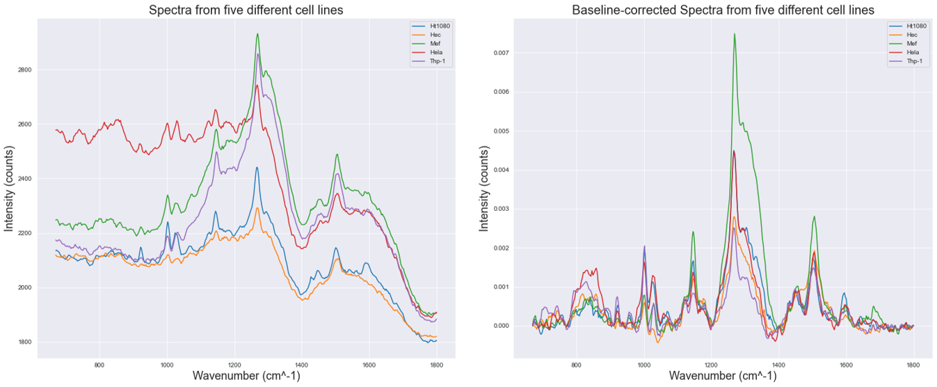 GitHub - MarGhaf/Machine-Learning-Assisted-Raman-Spectroscopy