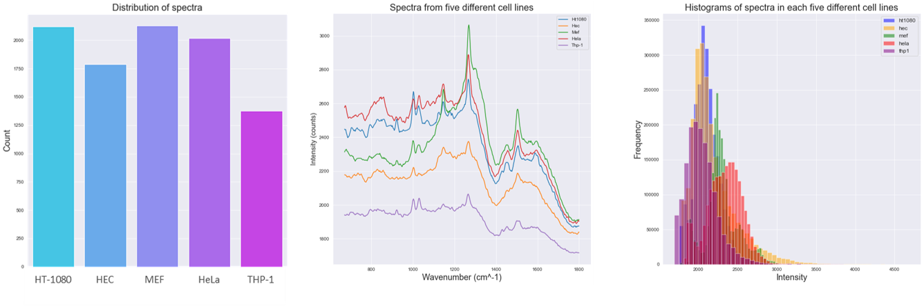 Github Marghaf Machine Learning Assisted Raman Spectroscopy