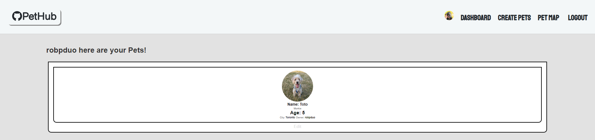 GitHub - Leman102/pet-hub