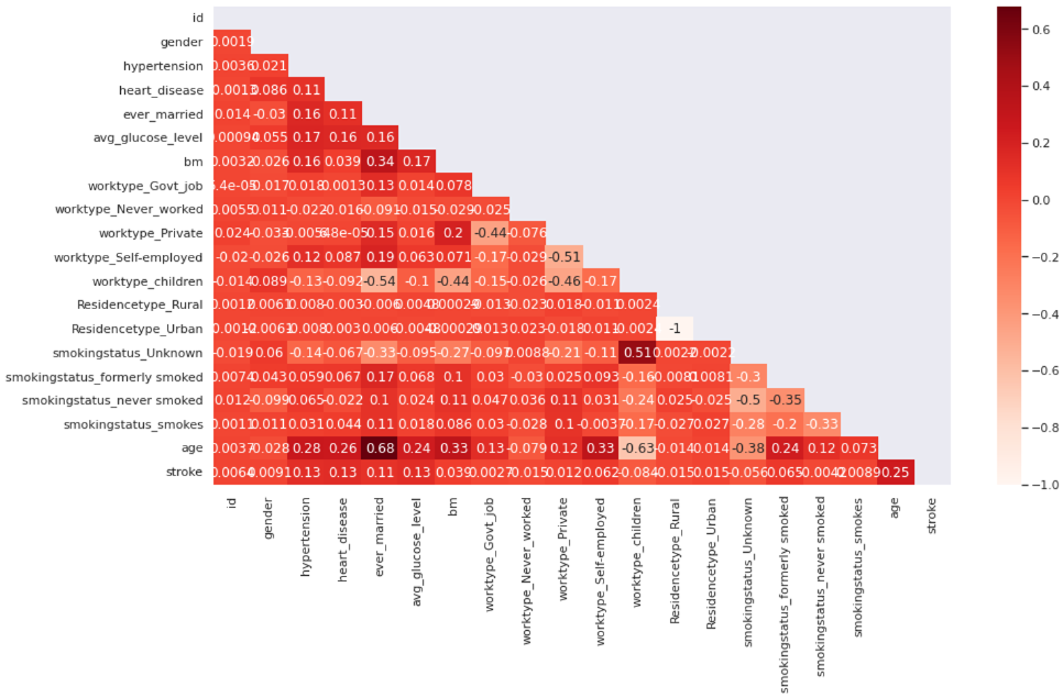 GitHub - anyamanee/stroke_prediction
