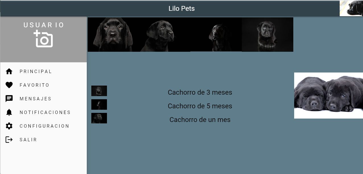 GitHub - Lina09D/ProyectoResponsive