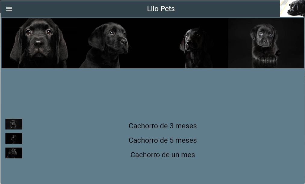 GitHub - Lina09D/ProyectoResponsive