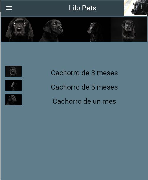 GitHub - Lina09D/ProyectoResponsive