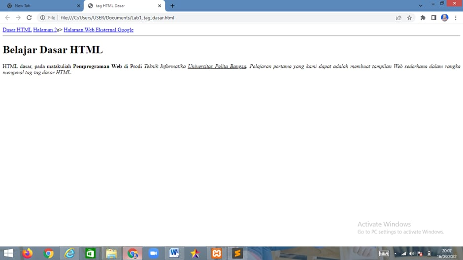 GitHub - Sucidwi14/Lab1web