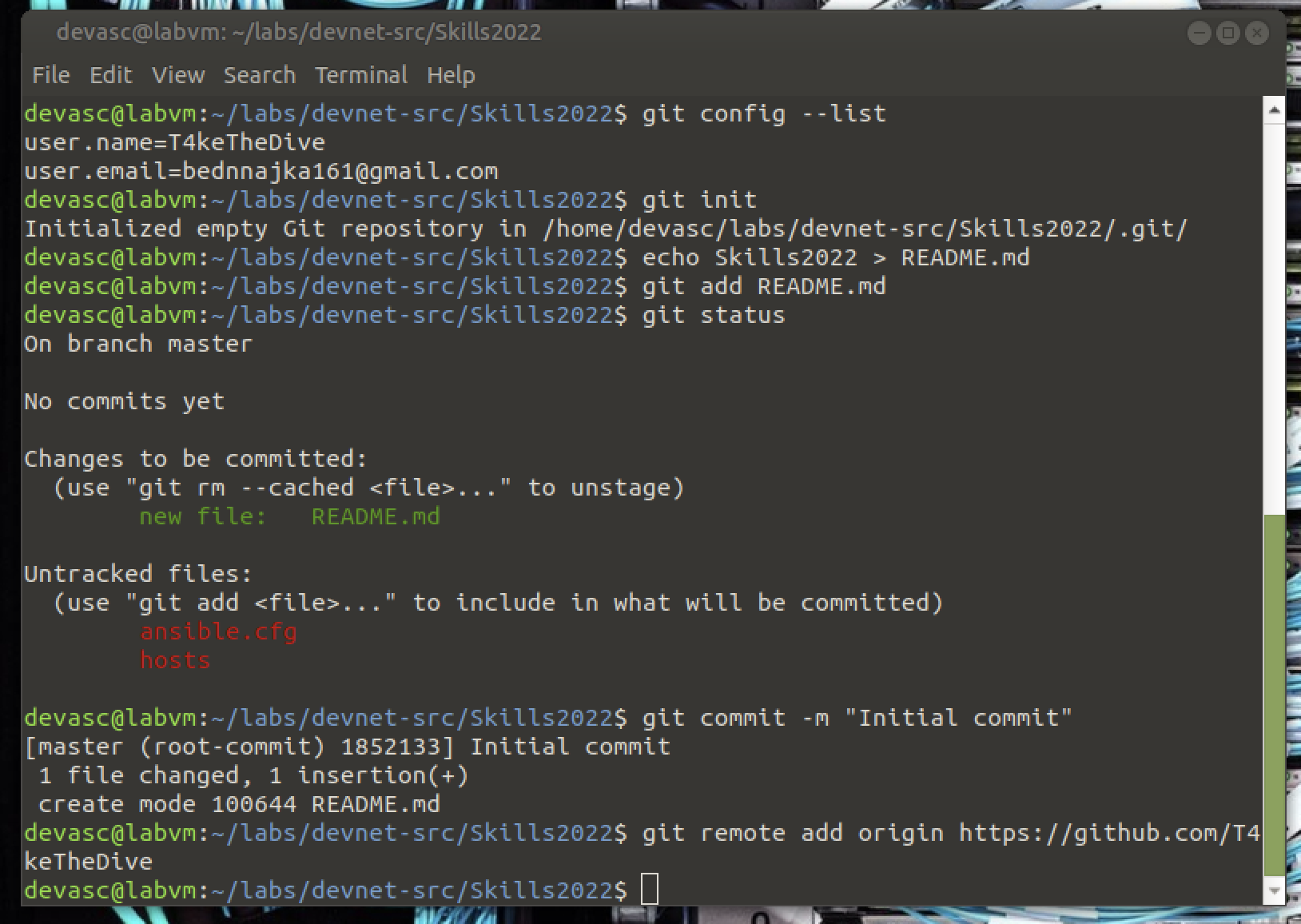 GitHub - T4keTheDive/Skills2022
