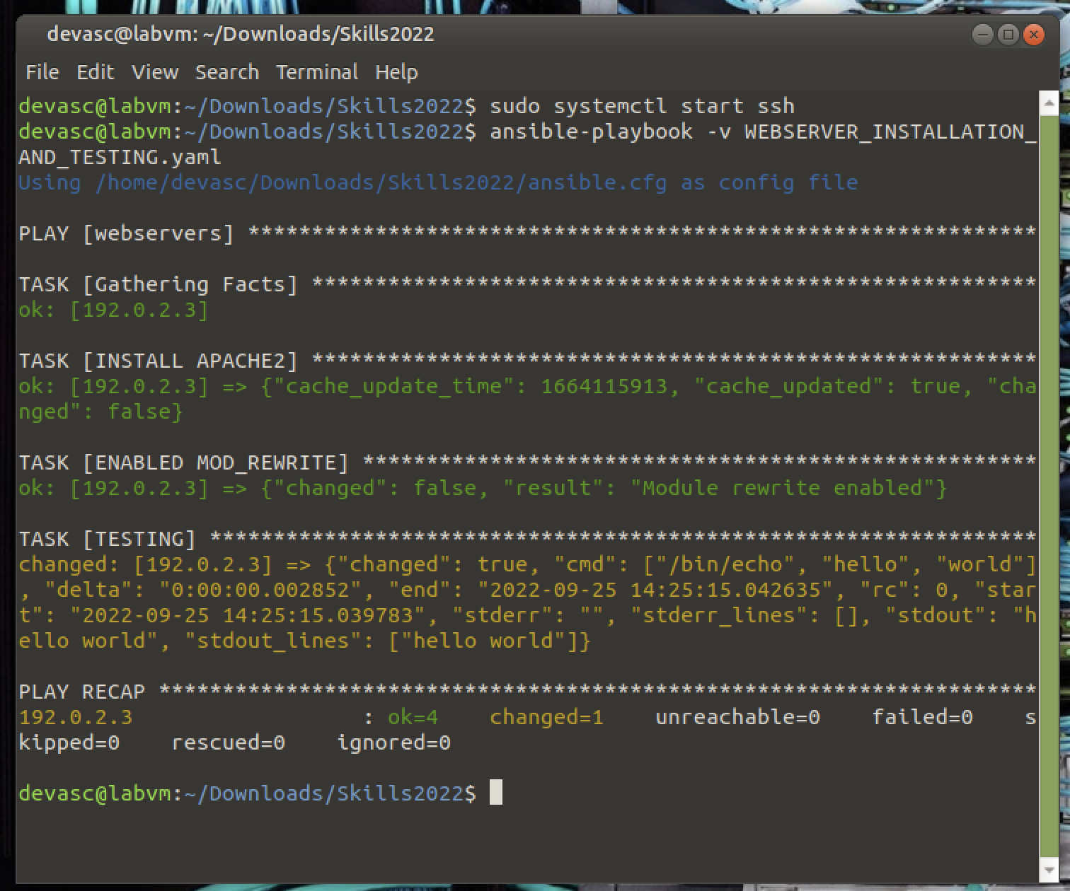 GitHub - T4keTheDive/Skills2022