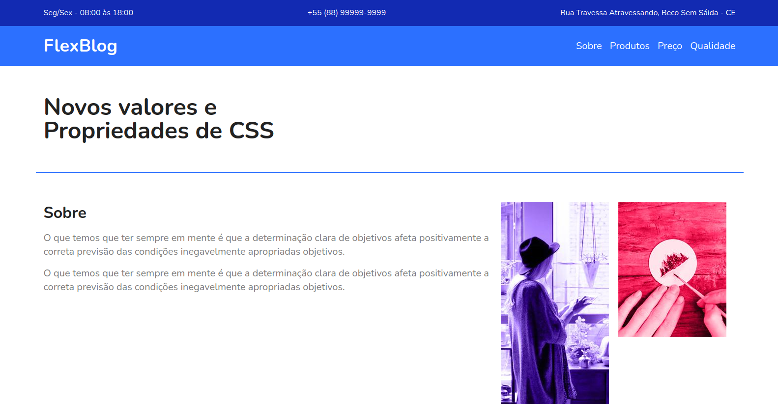 GitHub - arissonlima/origamid-flexblog: Projeto desenvolvido com base no curso de CSS Flexbox da ...