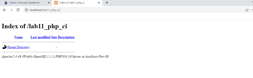 GitHub - aradenkodrat/lab11_web