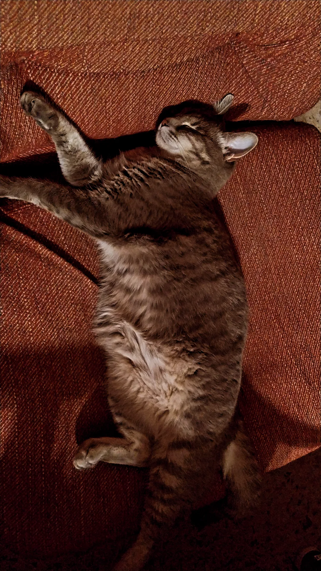 GitHub - pdep-utn-frd/presentacion-2022-juangallardo01: presentacion-2022-juangallardo01 created ...