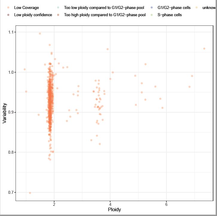 Diagnosis & population RT · Issue #13 · CL-CHEN-Lab/Kronos_scRT · GitHub