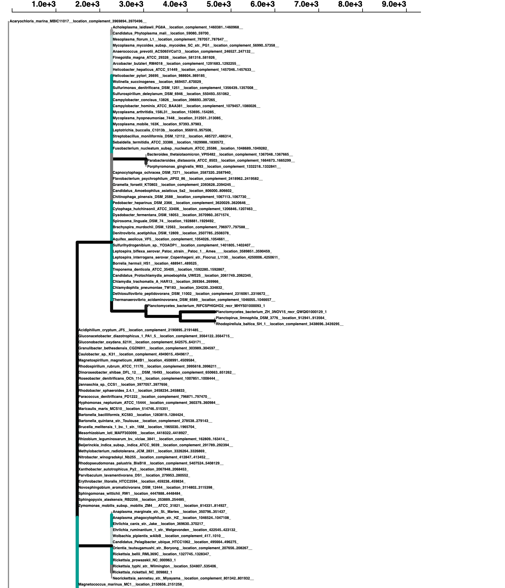 Help with inconsistent Absrel results · Issue #1326 · veg/hyphy · GitHub