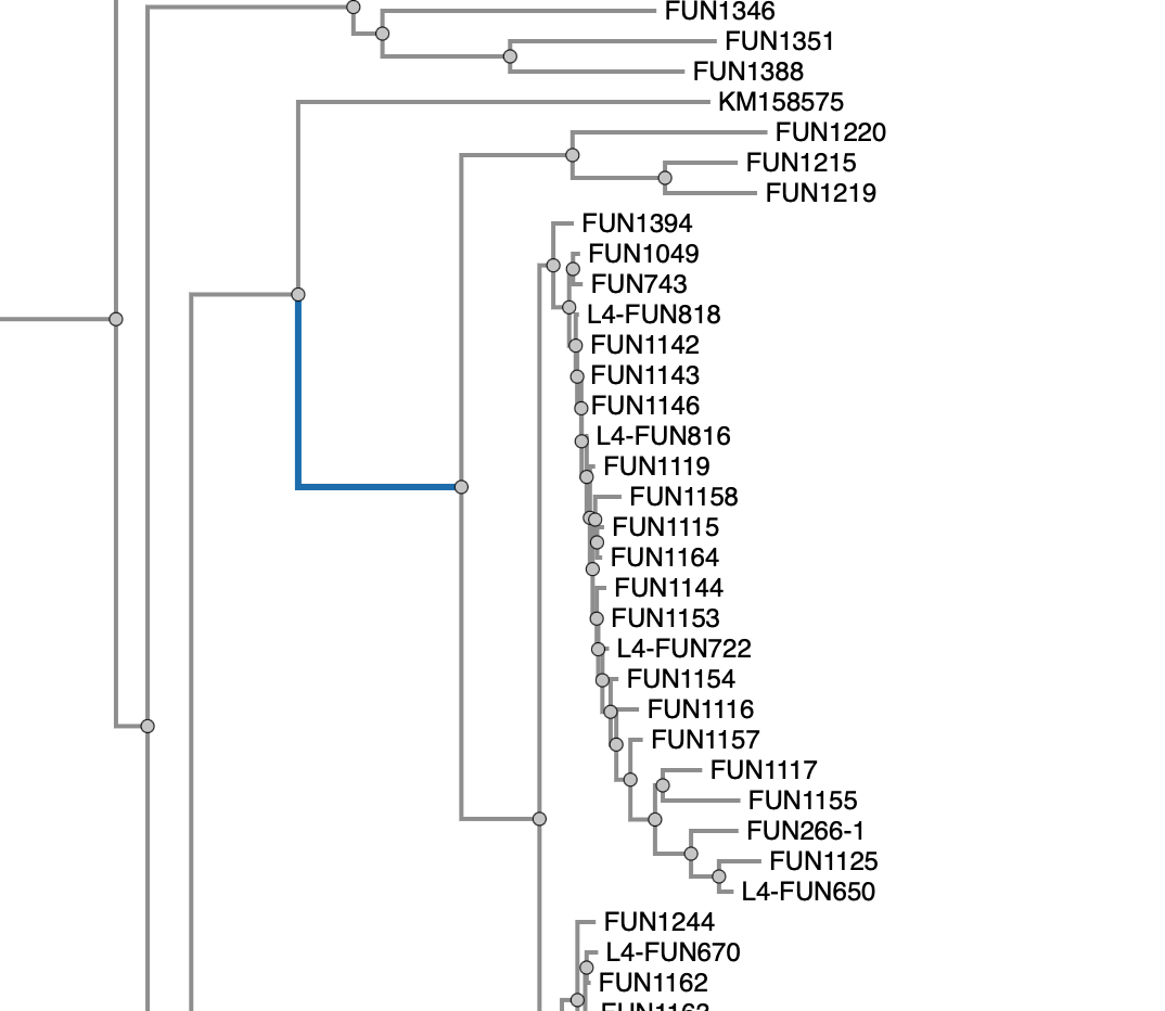 Simple beginner question · Issue #1467 · veg/hyphy · GitHub