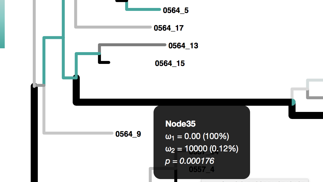 help with node numbering in aBSREL output · Issue #770 · veg/hyphy · GitHub