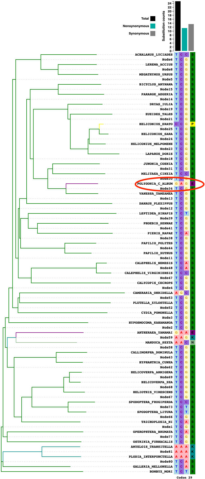 Different results for Hyphy BUSTED and MEME · Issue #1087 · veg/hyphy · GitHub