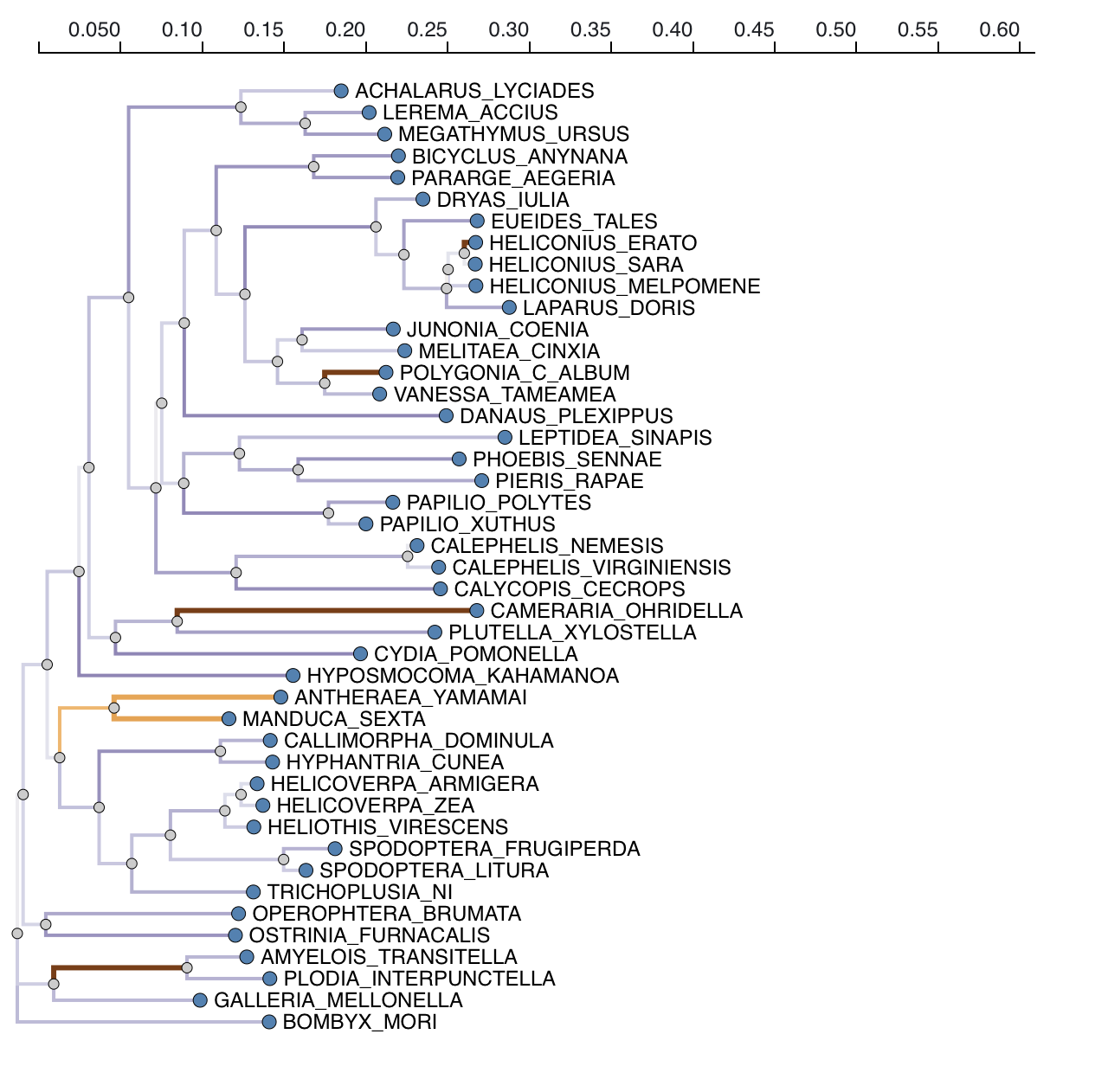 Different results for Hyphy BUSTED and MEME · Issue #1087 · veg/hyphy ...
