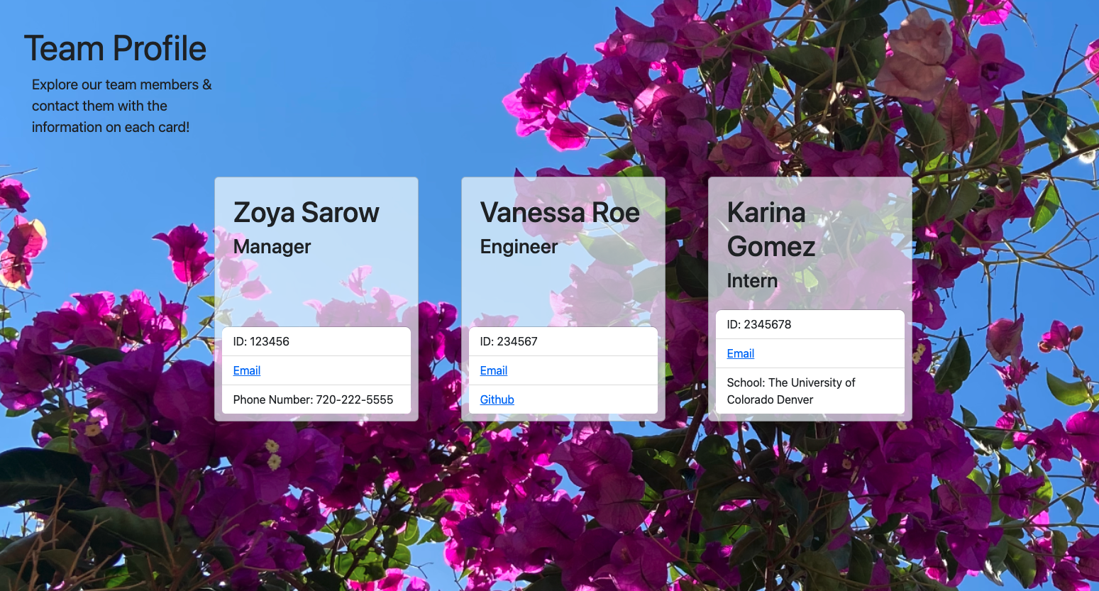 GitHub - zoyasarow/Node-Team-Profile-Generator