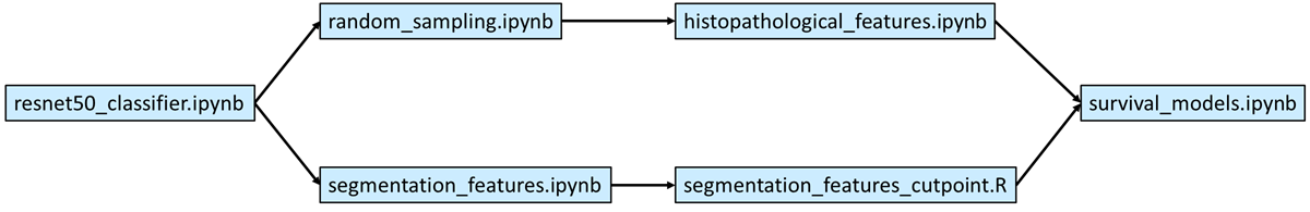 GitHub - v1x99y7/WSI-HSfeatures