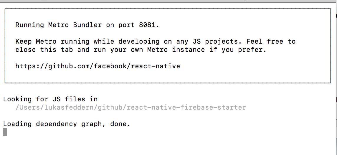 app crashes immediately after launching on ios simulator · Issue #71 · invertase/react-native ...