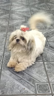 GitHub - pdep-utn-frd/23-bienvenidos-Nicole-Flores: 23-bienvenidos-Nicole-Flores created by ...