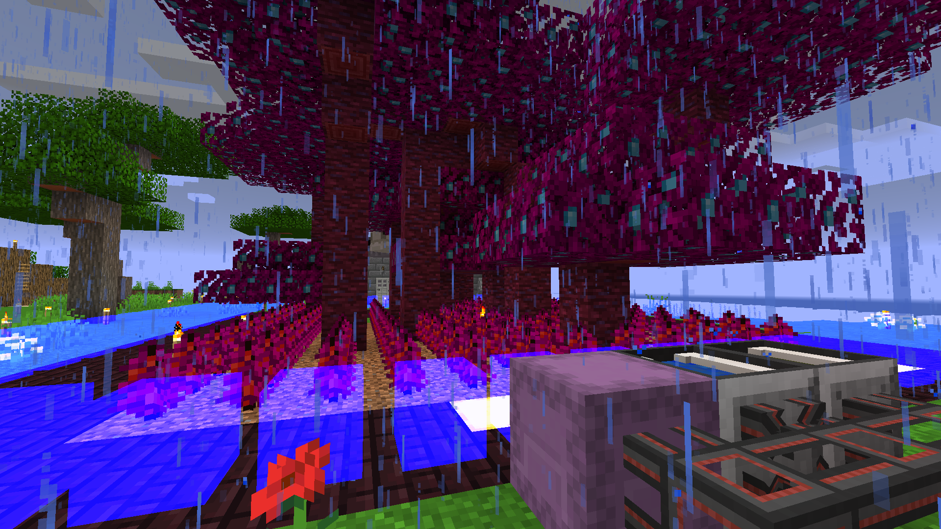 (1.16.4) Forester - not Consistent while Saplings/Trees. · Issue #1653 ...