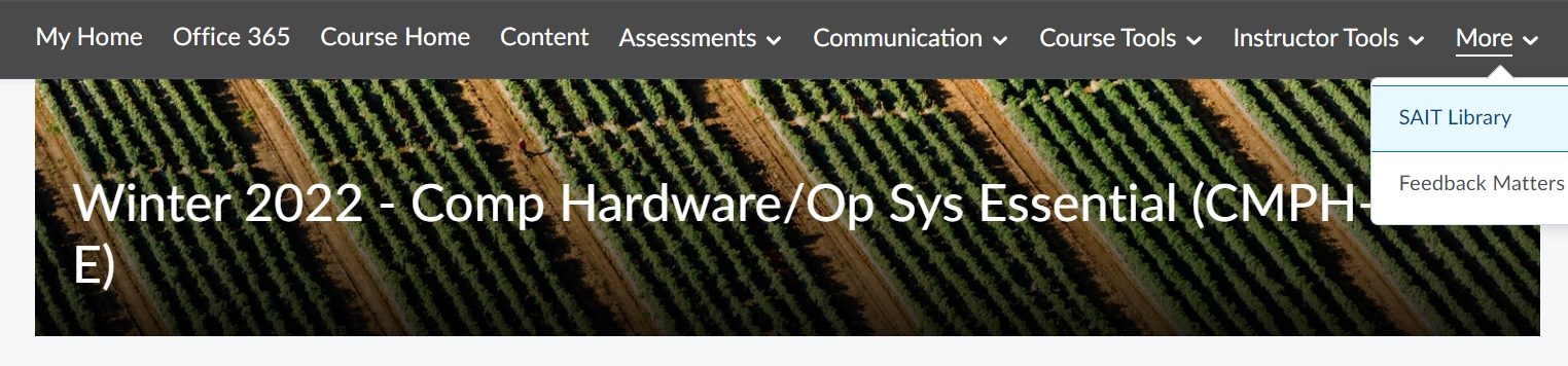 [Broken Website] https://learn.sait.ca/d2l/home · Issue #8485 ...