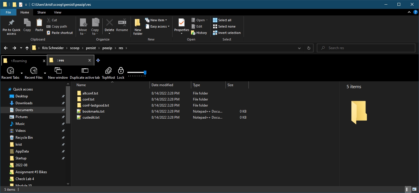 Scoop is not persisting PeaZip config in persist folder. · Issue #9046 · ScoopInstaller/Extras ...
