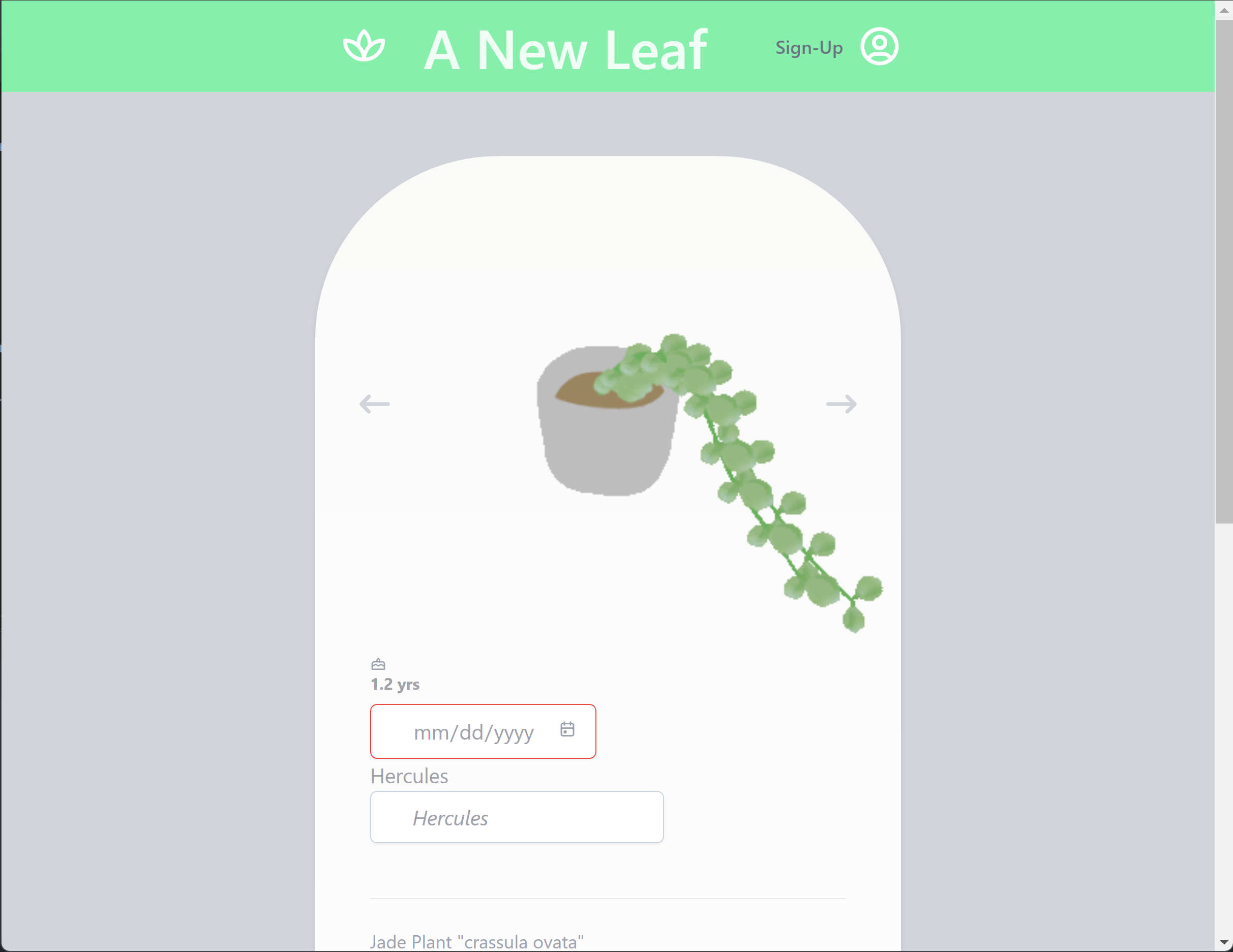 GitHub - BillyFletcher99/a-new-leaf-application