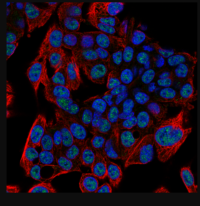 GitHub - kamlesh-ops/Human_Protein_Transfer_learning