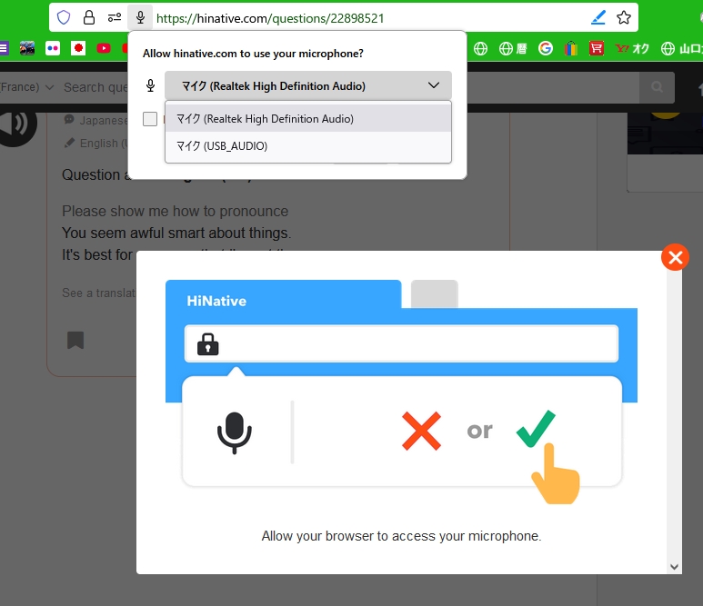 Firefox: audio input device is not selectable (known Firefox bug ...