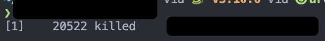 Patching Address On Aarch64 Mach O Binary Makes Bad Executable Binary · Issue 802 · Lief