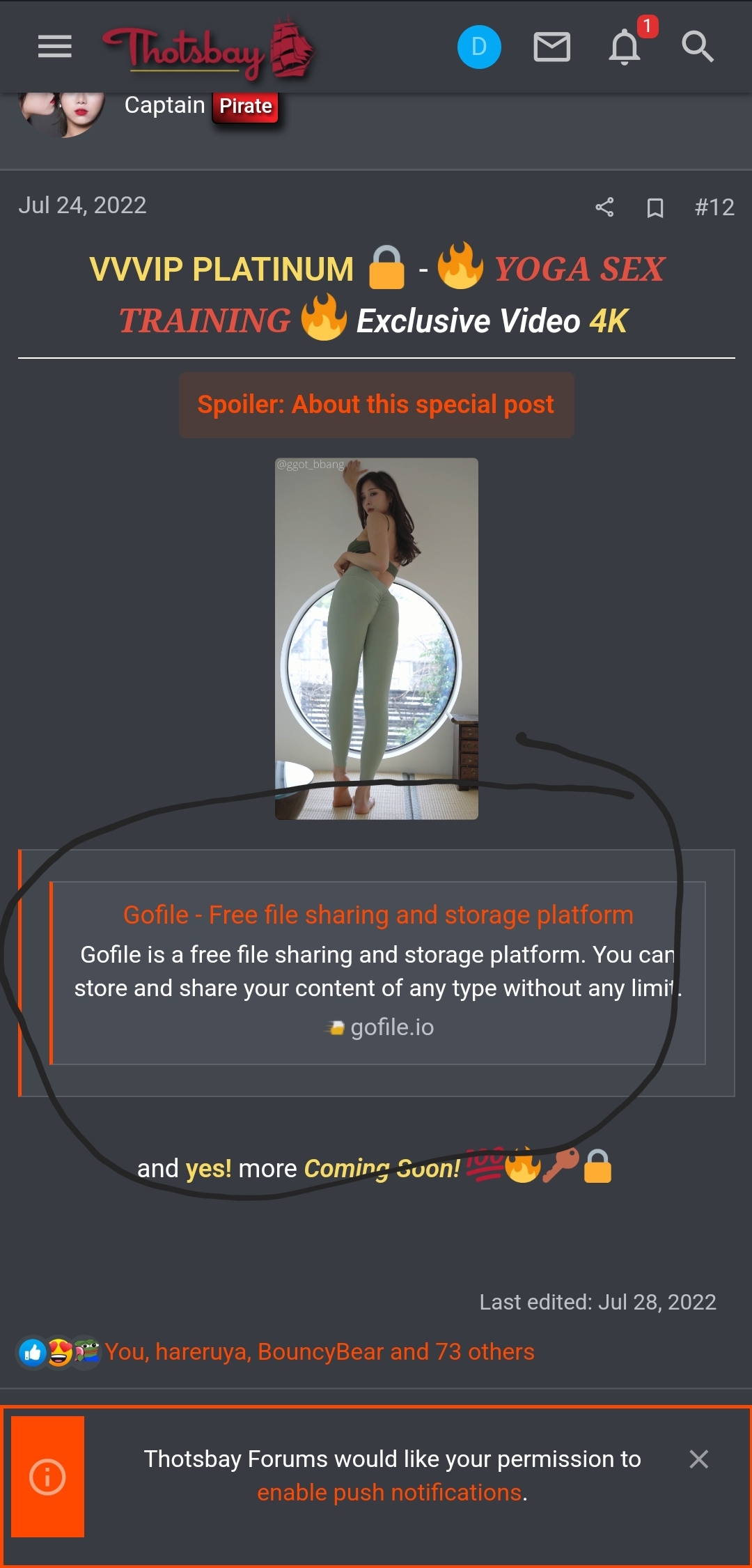 thotshub · Issue #180 · Jules-WinnfieldX/CyberDropDownloader · GitHub