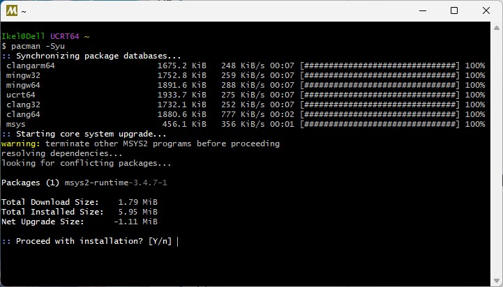 Msys Shell Not Working In Win11 With Exploit Protection · Issue 3925 · Msys2msys2 Packages 