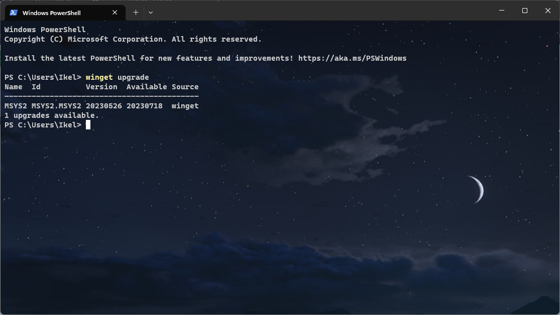 MSYS shell not working in Win11 with Exploit protection · Issue #3925 · msys2/MSYS2-packages ...