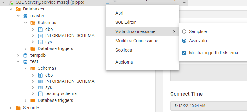 SQL Server, visibility of system objects · Issue #820 · dbeaver/cloudbeaver · GitHub