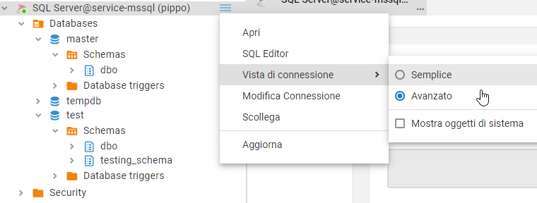 SQL Server, visibility of system objects · Issue #820 · dbeaver/cloudbeaver · GitHub