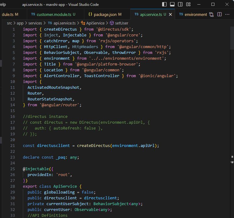 Cannot find module '@directus/types' or its corresponding type declarations - Using angular 16 ...