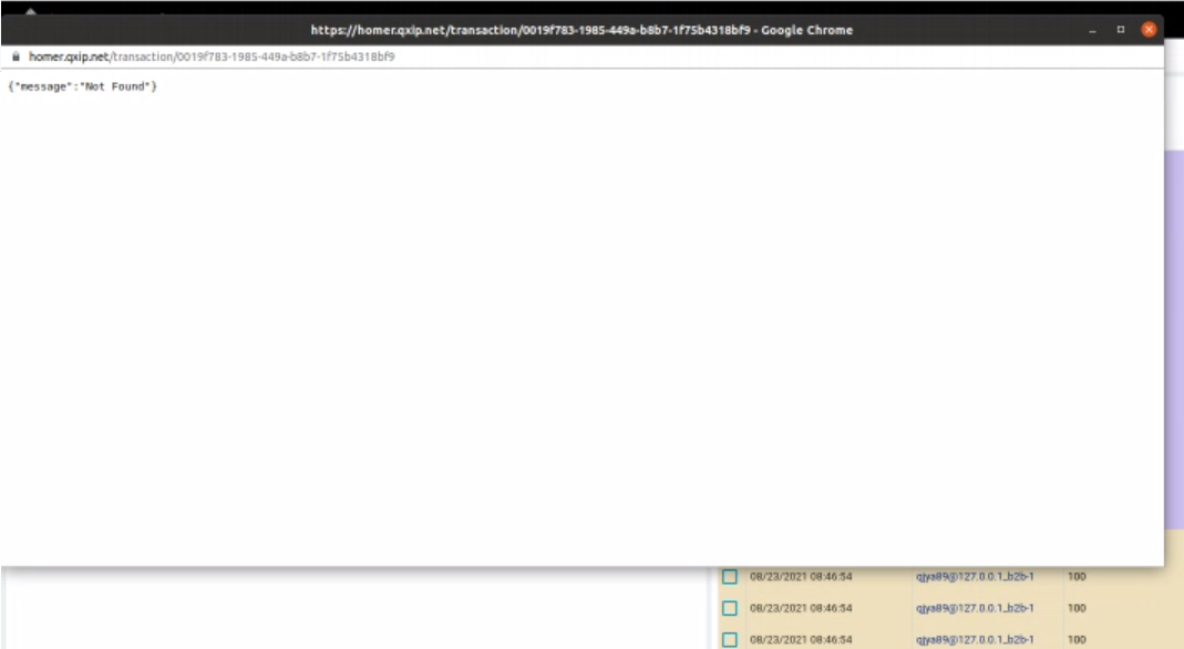Popup browser window broken · Issue #470 · sipcapture/homer-ui · GitHub