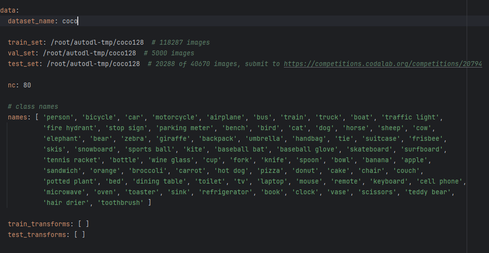 使用自定义数据集训练时出现错误 · Issue #219 · mindspore-lab/mindyolo · GitHub