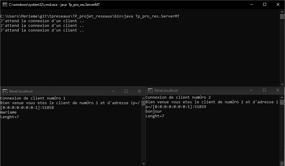 GitHub - MariameBouk/projet_reseaux