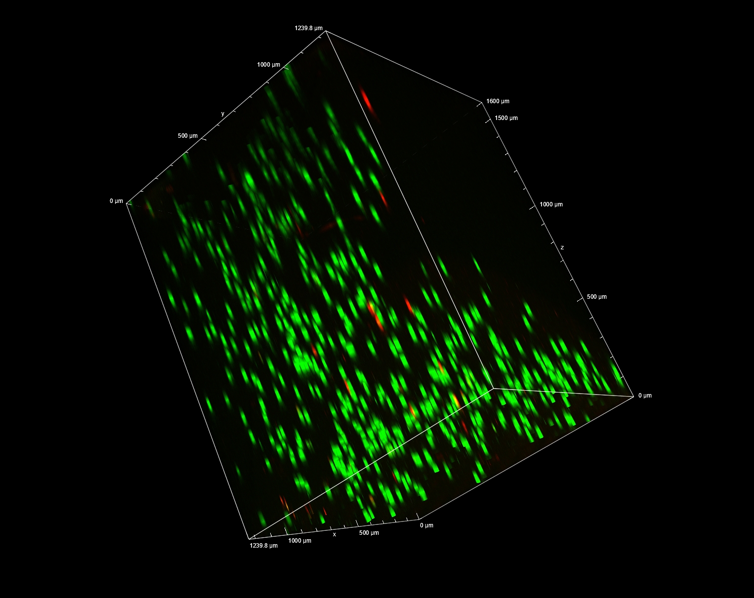 GitHub - belaperdomo/BIO-X6-prints: STL files and images of prints ...