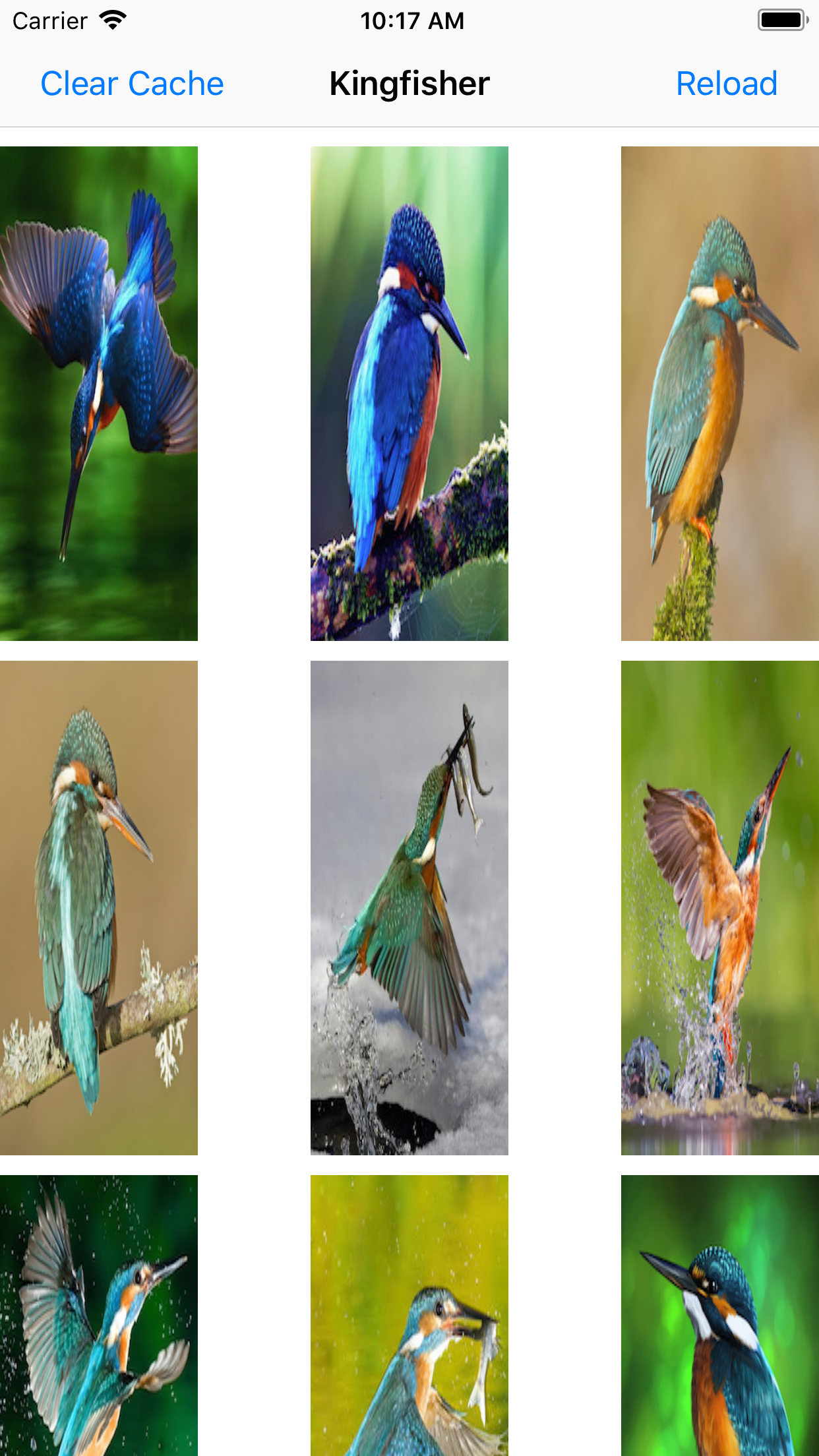 Does Kingfisher support content mode of UIImageView? · Issue #828 · onevcat/Kingfisher · GitHub