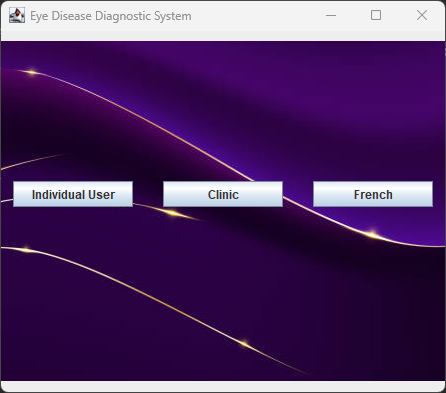 GitHub - Michelangelo-Foresta/Multi-Label-Fundus-Image-Classification