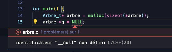 Bug Identifier Null Not Defined Code Analysis Before Compilation Macos Ventura 130 