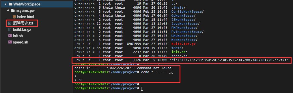 Terminal Chinese Language Not Support · Issue #4730 · eclipse-theia ...