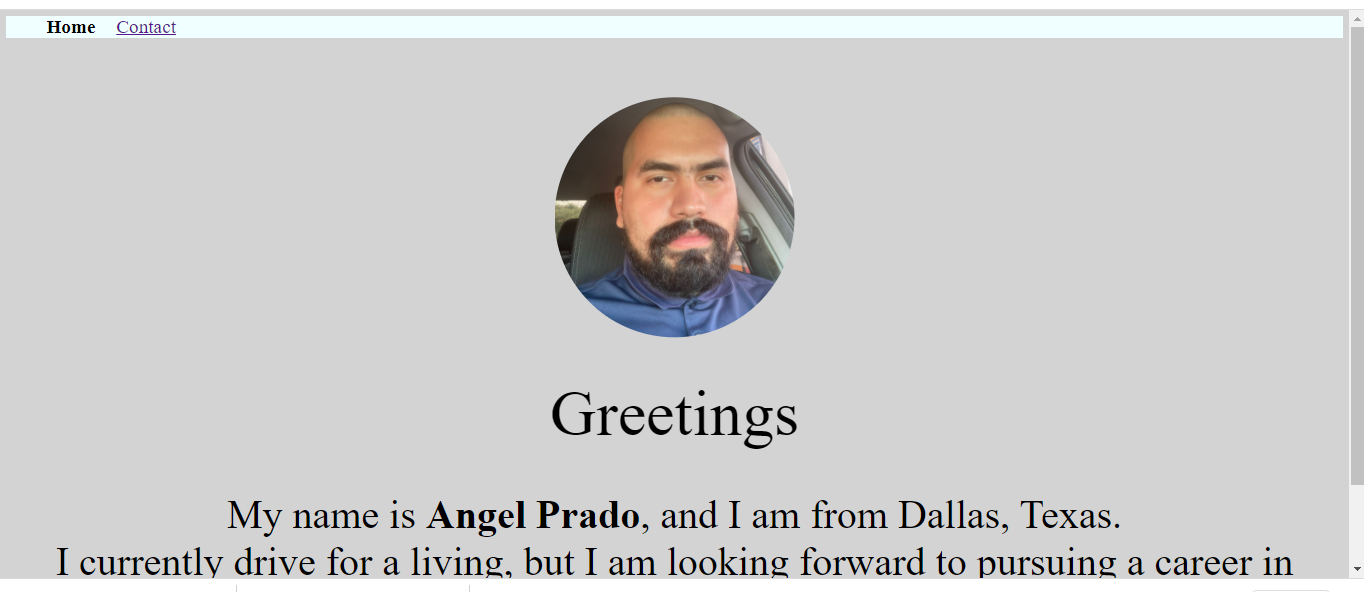 GitHub - Trevorton27/devCourse1PersonalWebsite: Task 1