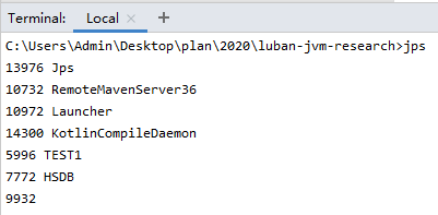 Windows10上启动HSDB并查看运行时数据 · Issue #50 · peteryuanpan/notebook · GitHub