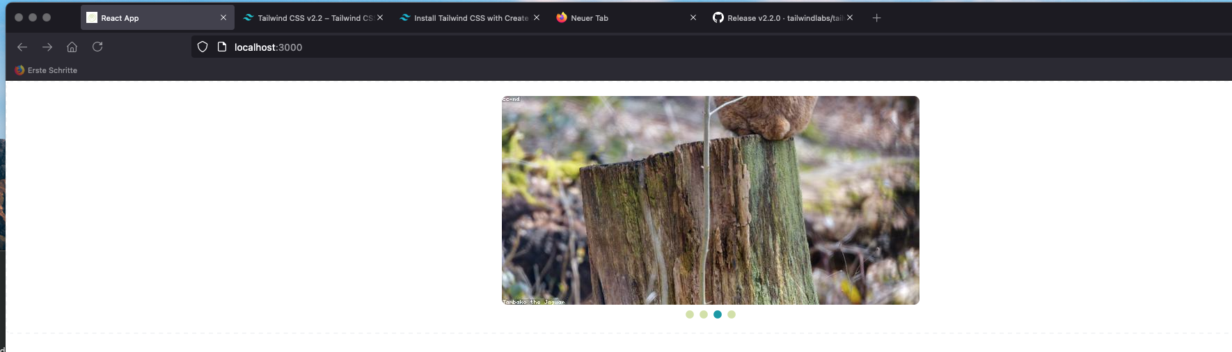 Pictures not showing on Safari, iPhone or iPad · Issue #1 · GuppuBoss/react-tailwindcss-carousel ...